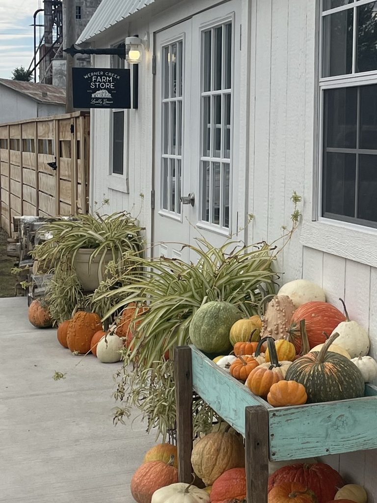 Subscribe to our Newsletter